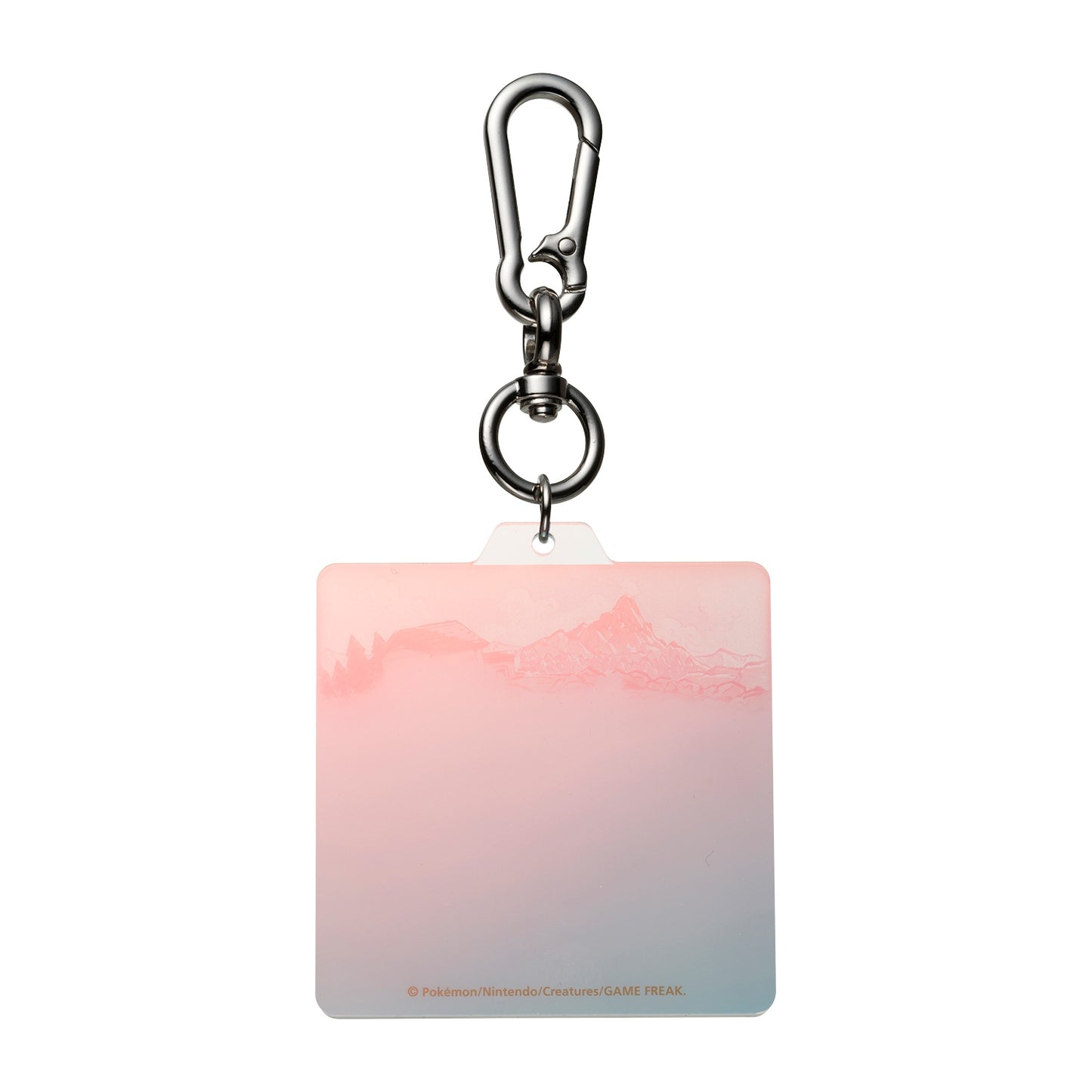 "Pokemon Timeless Adventure Hoenn" Acrylic Keychain – Rosey’s Kawaii Shop